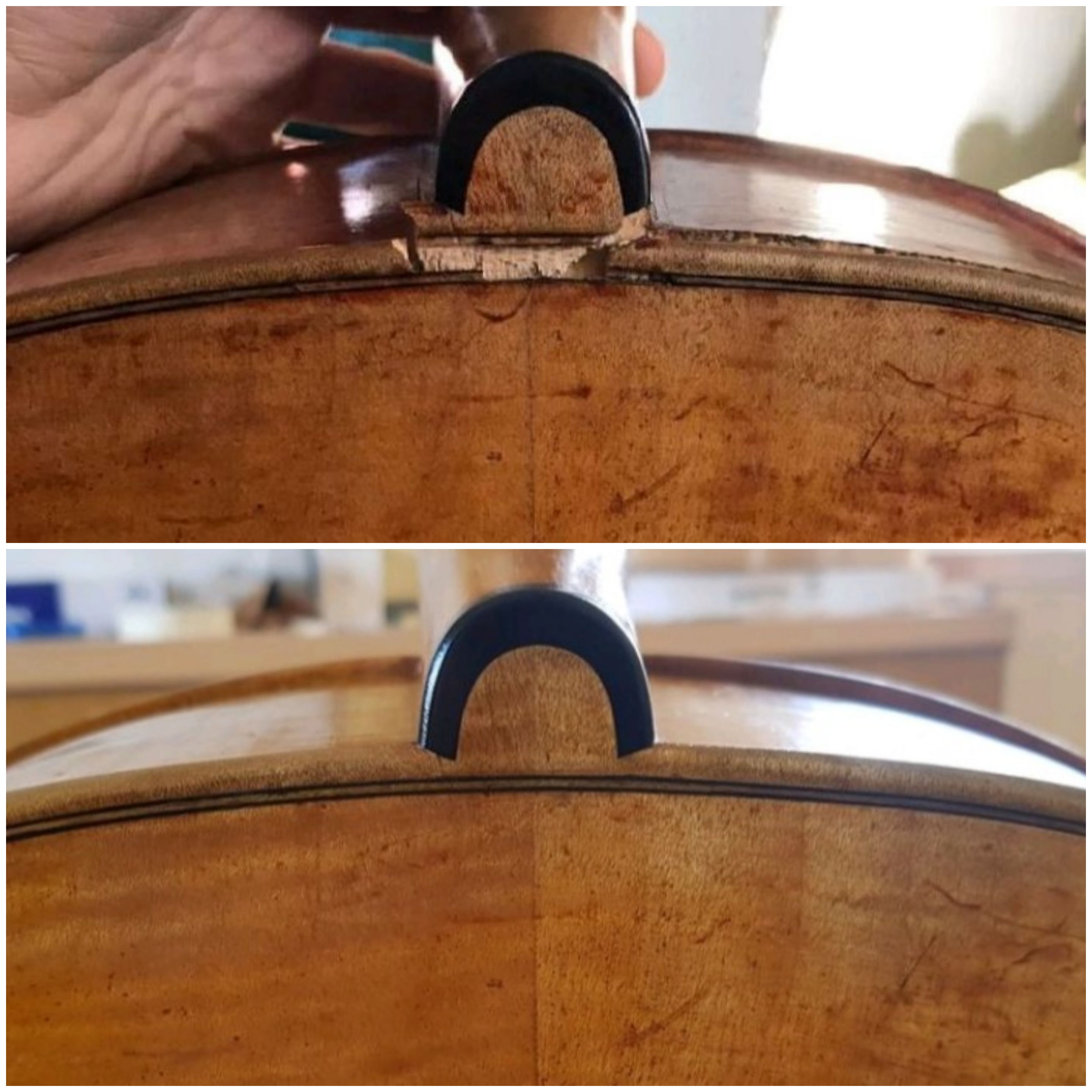 Cello Button and Neck Repair – Iris Carr Restorations