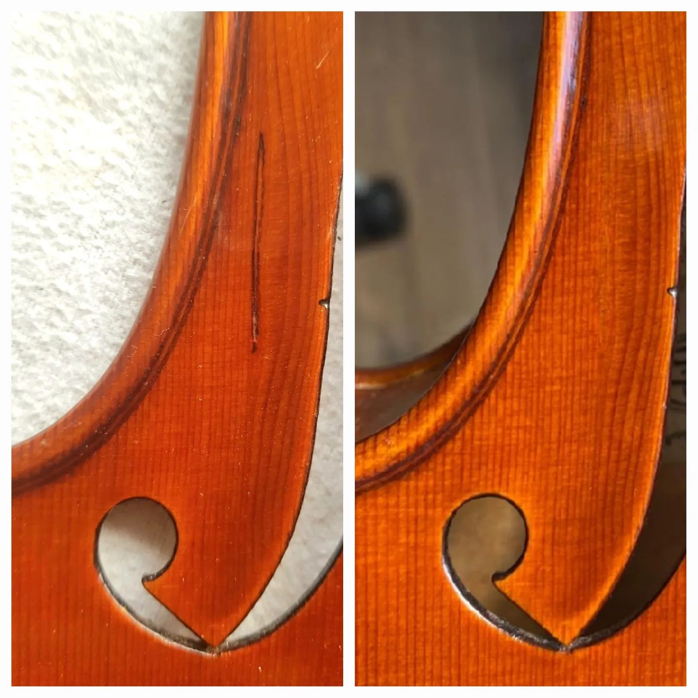 Sap Pocket Repair – Iris Carr Restorations