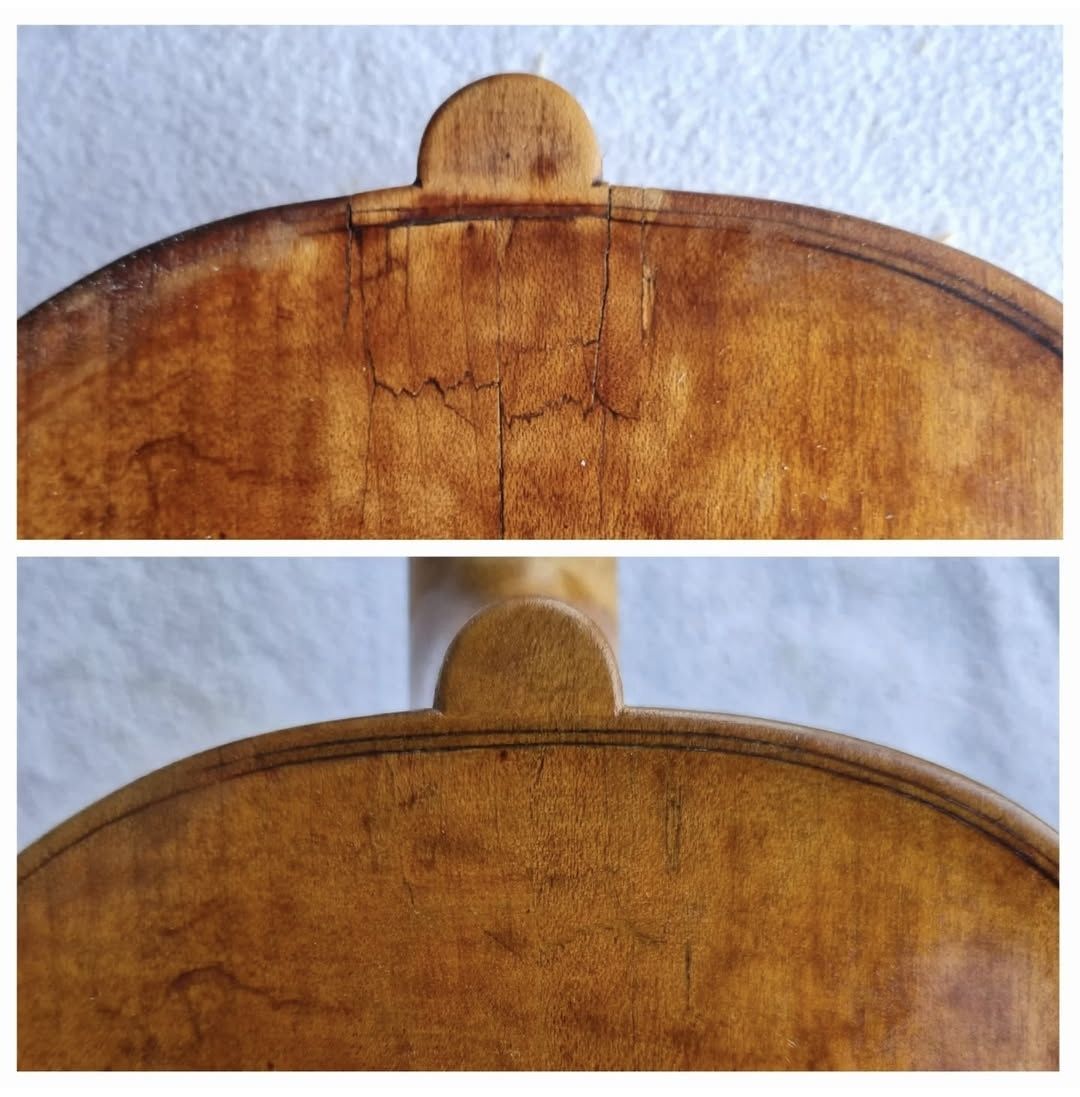 Button Graft – Iris Carr Restorations